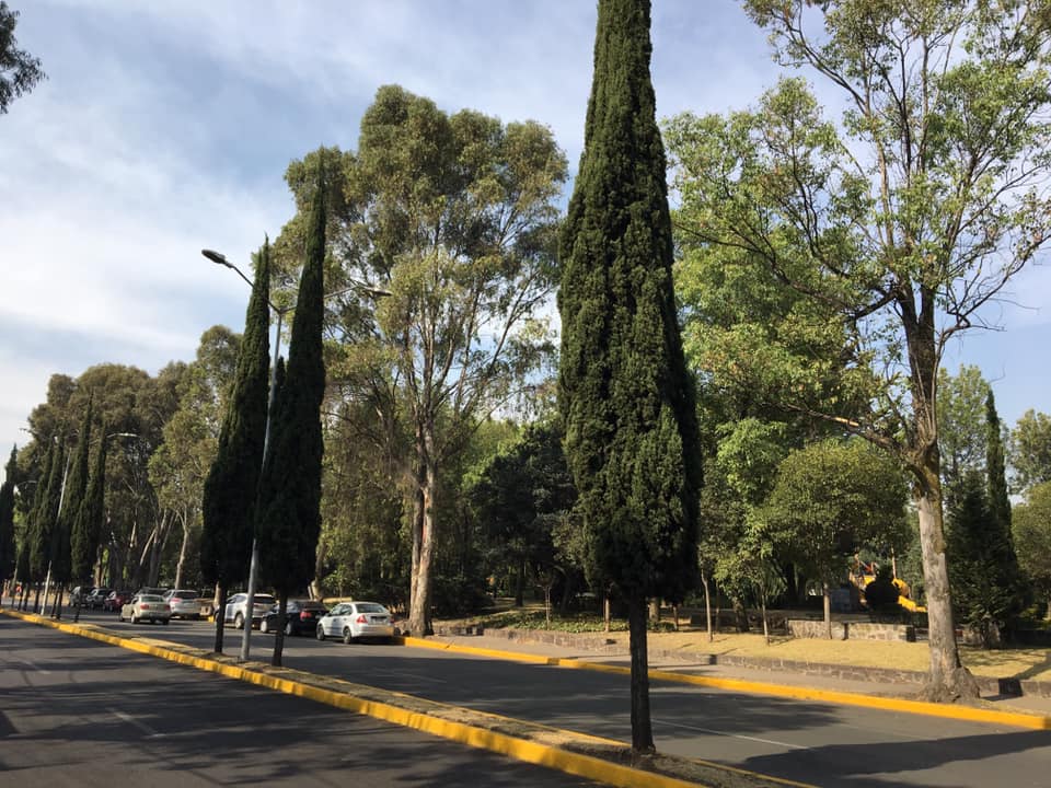 Parque Urawa de Toluca sin reja perimetral | tolucalabellacd.com